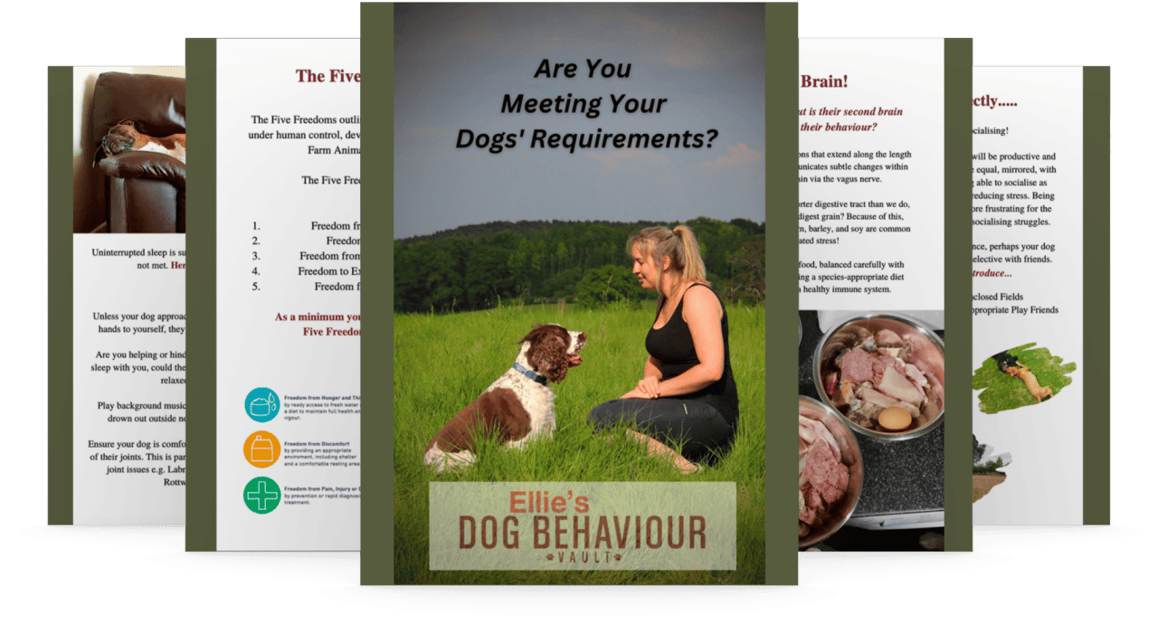 Best Behaviour Support Program | Ellie's Dog Behaviour Vault